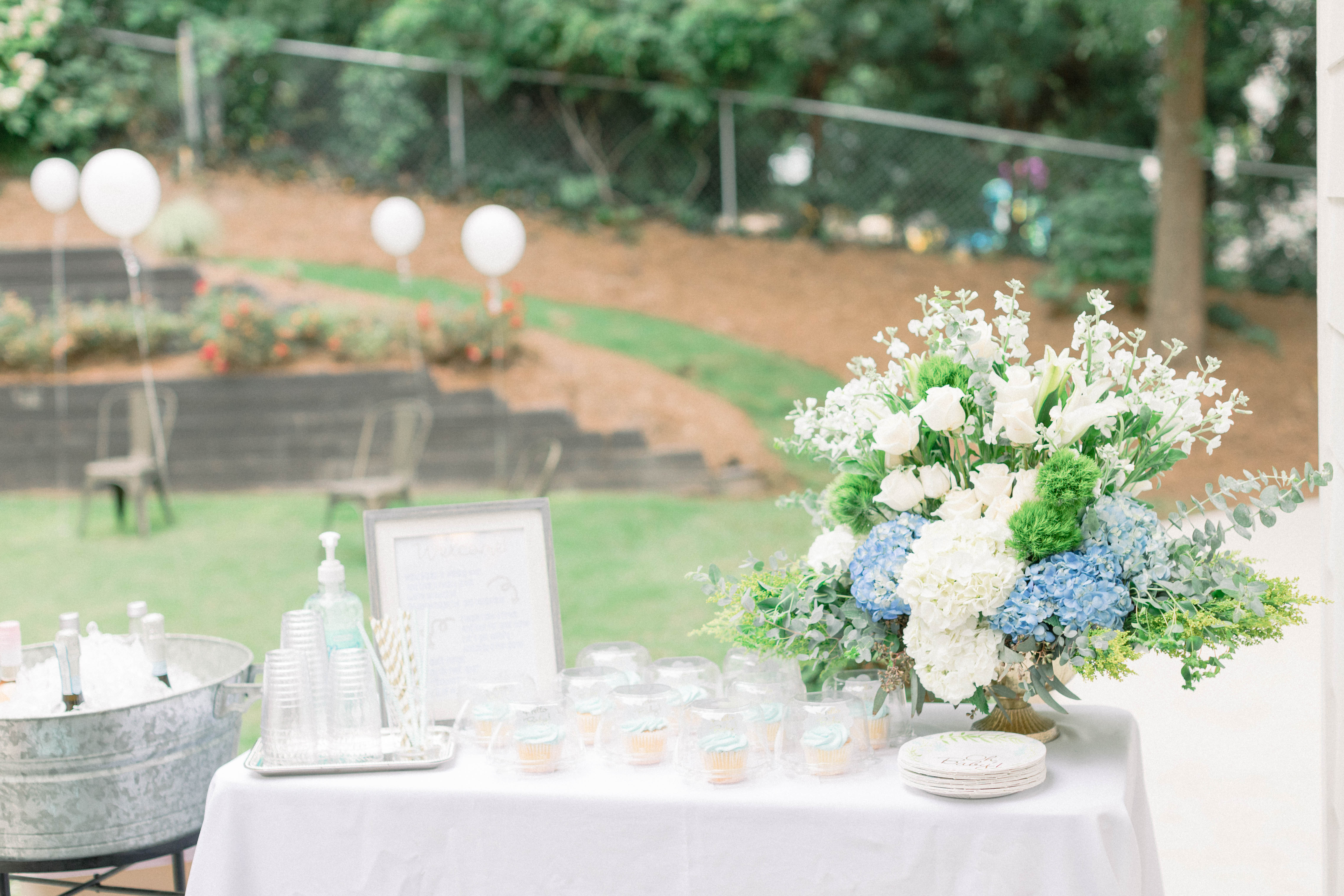 Chelcey's Socially Distant Baby Shower amid a Pandemic ...